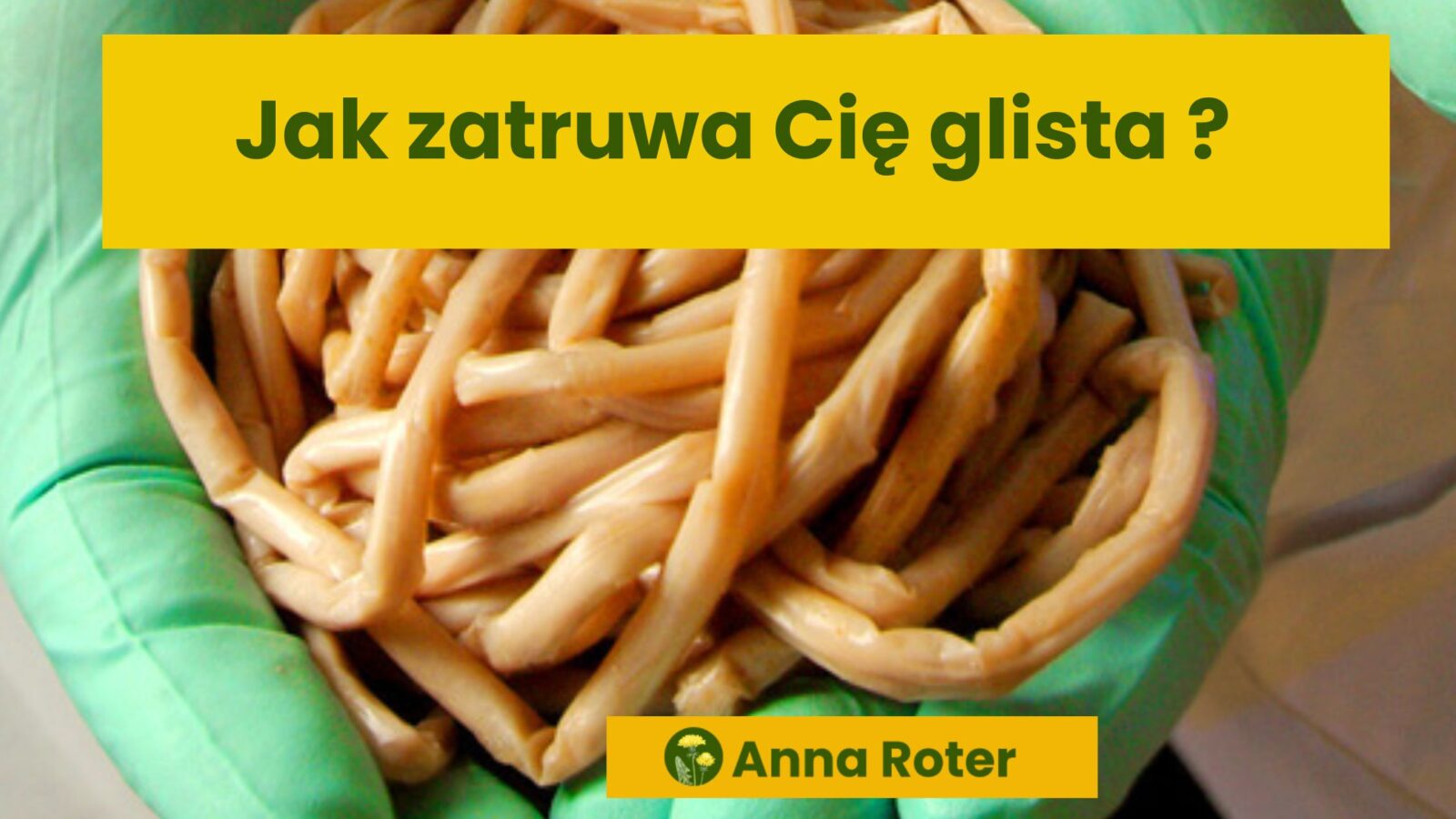 jak zatruwa Cię glista ludzka? - Anna Roter-Bourkane