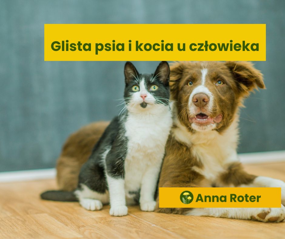Glista psia i kocia - czy są groźne dla człowieka? - Anna Roter-Bourkane